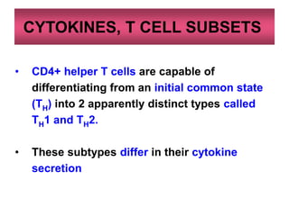 T cells.ppt