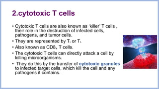tcells.pptx