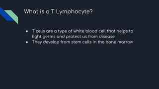 An overview of T Lymphocytes and other cell | PDF