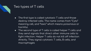 An overview of T Lymphocytes and other cell | PDF