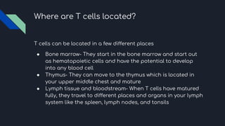 An overview of T Lymphocytes and other cell | PDF