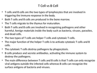 T Cells and B Cells and Ig..pptxiiiiiiiiiiiiiii | PPTX