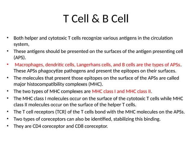 T Cells and B Cells and Ig..pptxiiiiiiiiiiiiiii | PPTX