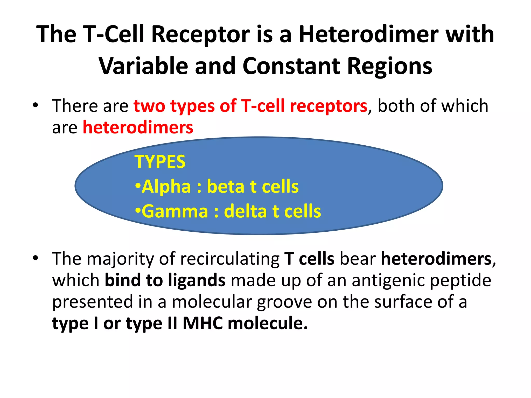 T cell signalling pathway | PPTX