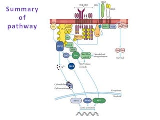T cell signalling pathway | PPTX