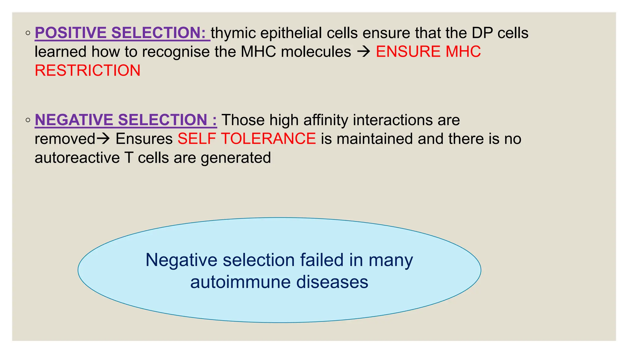 T CELL lymphocyte , its function, production and types pptx | PPTX