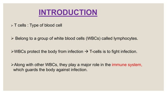 T CELL lymphocyte , its function, production and types pptx | PPTX