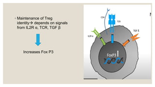 T CELL lymphocyte , its function, production and types pptx | PPTX