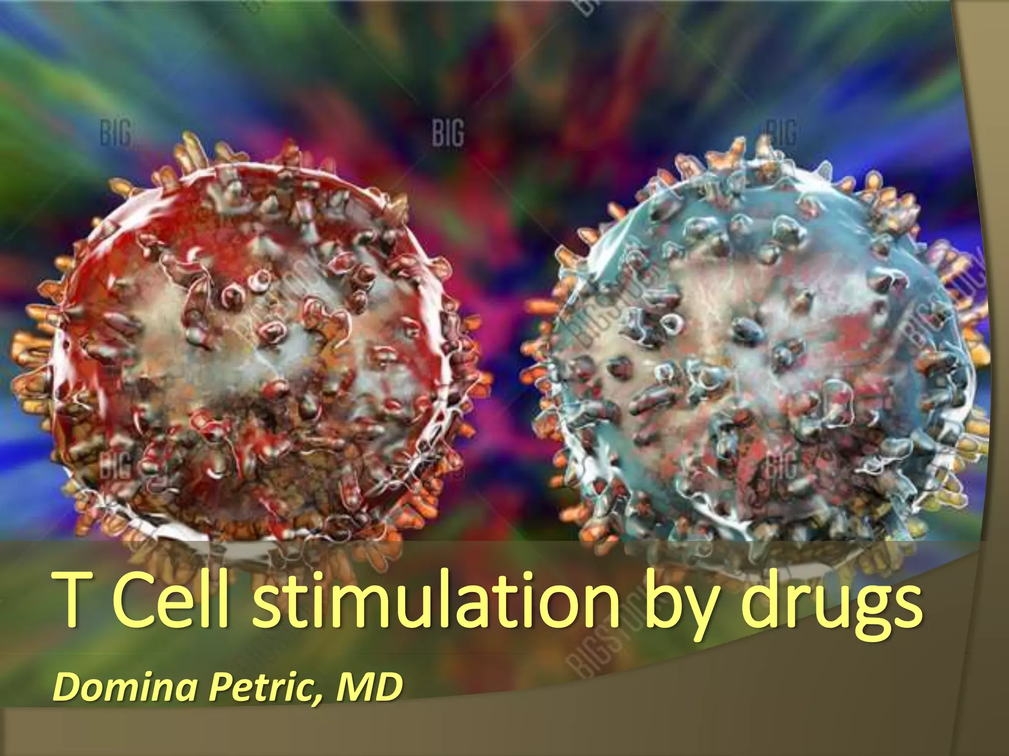 T cell stimulation by drugs | PPT