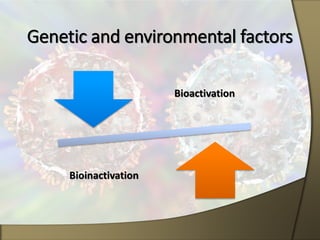 T cell stimulation by drugs | PPT