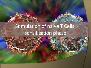 T cell stimulation by drugs | PPT