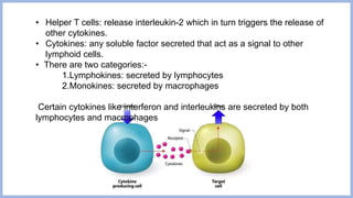 T CELL TYPES | PPTX