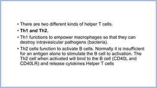T CELL TYPES | PPTX