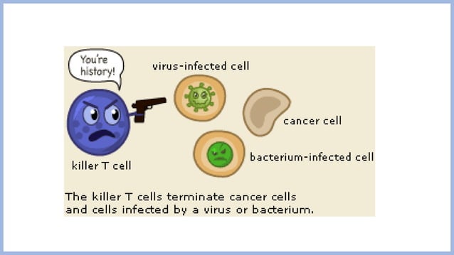 T CELL TYPES | PPTX