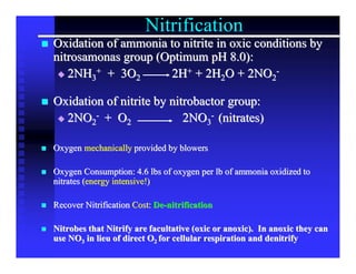 Anoxic Selector Single Stage Nitrification Process Waste Water Plant ...