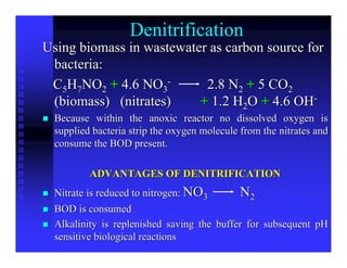 Anoxic Selector Single Stage Nitrification Process Waste Water Plant ...