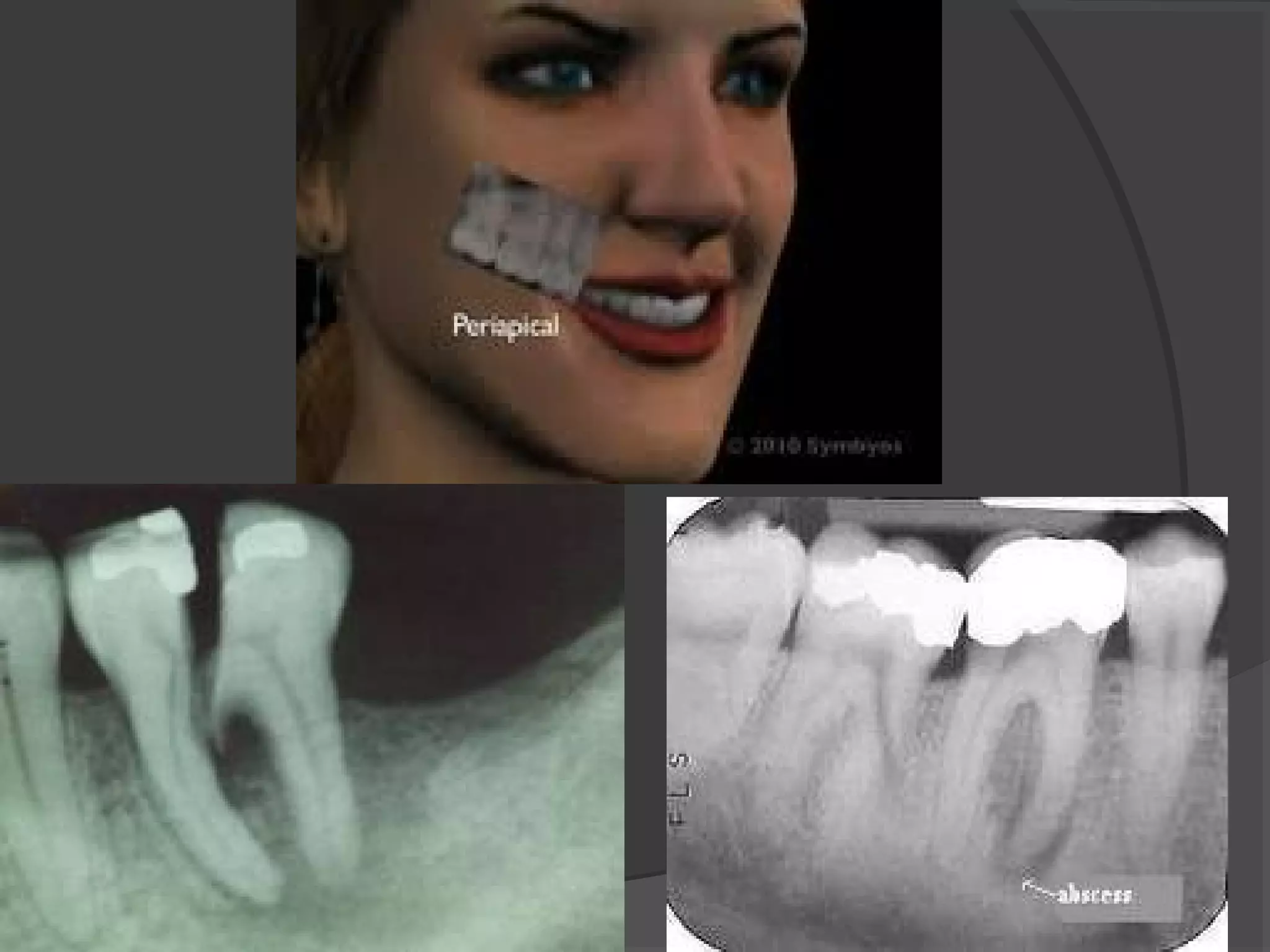 Introduction to Dentistry 4 | PPT