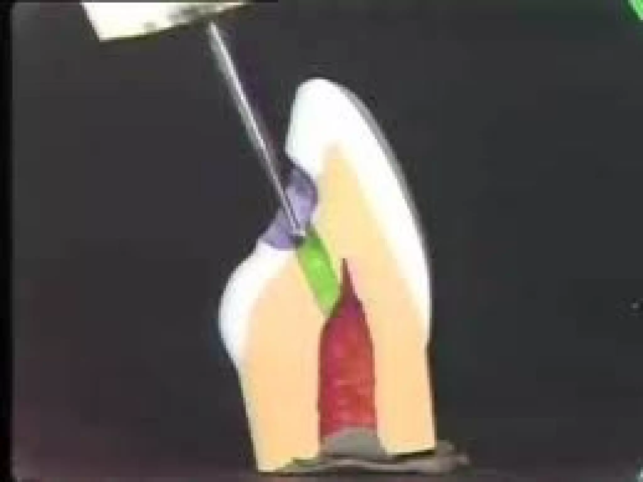 Introduction to Dentistry 4 | PPT