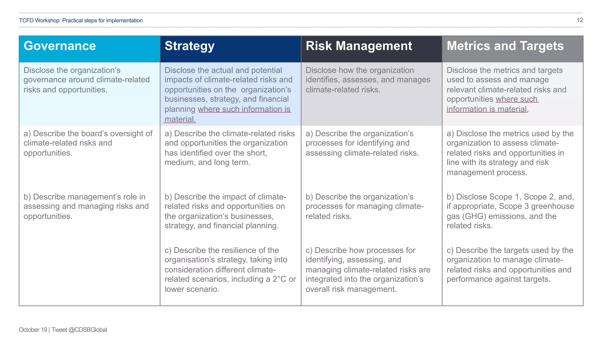 TCFD Workshop: Practical steps for implementation – Michael Zimonyi | PDF