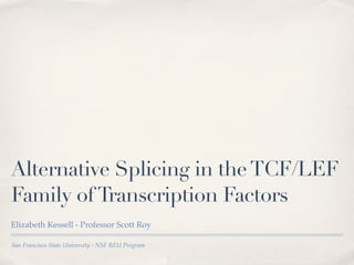 TCF/LEF talk | PPT