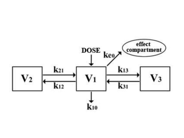 tci-models-for-dummies.pdf | Pharmaceutical Drugs | Medical Health
