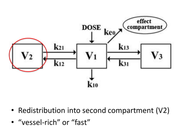 tci-models-for-dummies.pdf | Pharmaceutical Drugs | Medical Health
