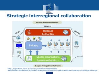 TCI 2016 European Cluster Strategy for growth | PDF