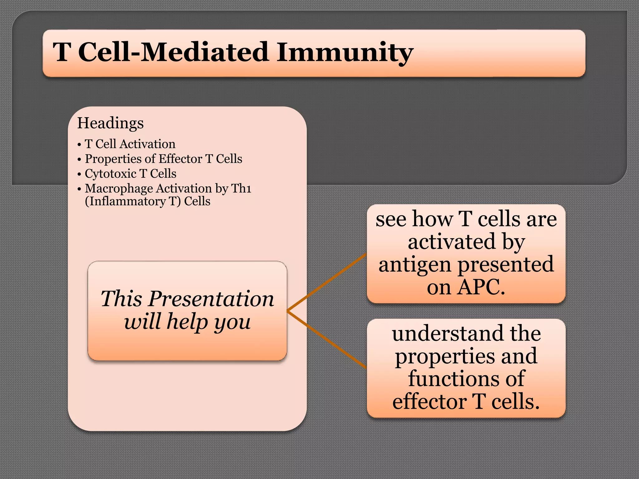 T-Cell Mediated Immunity | PPTX