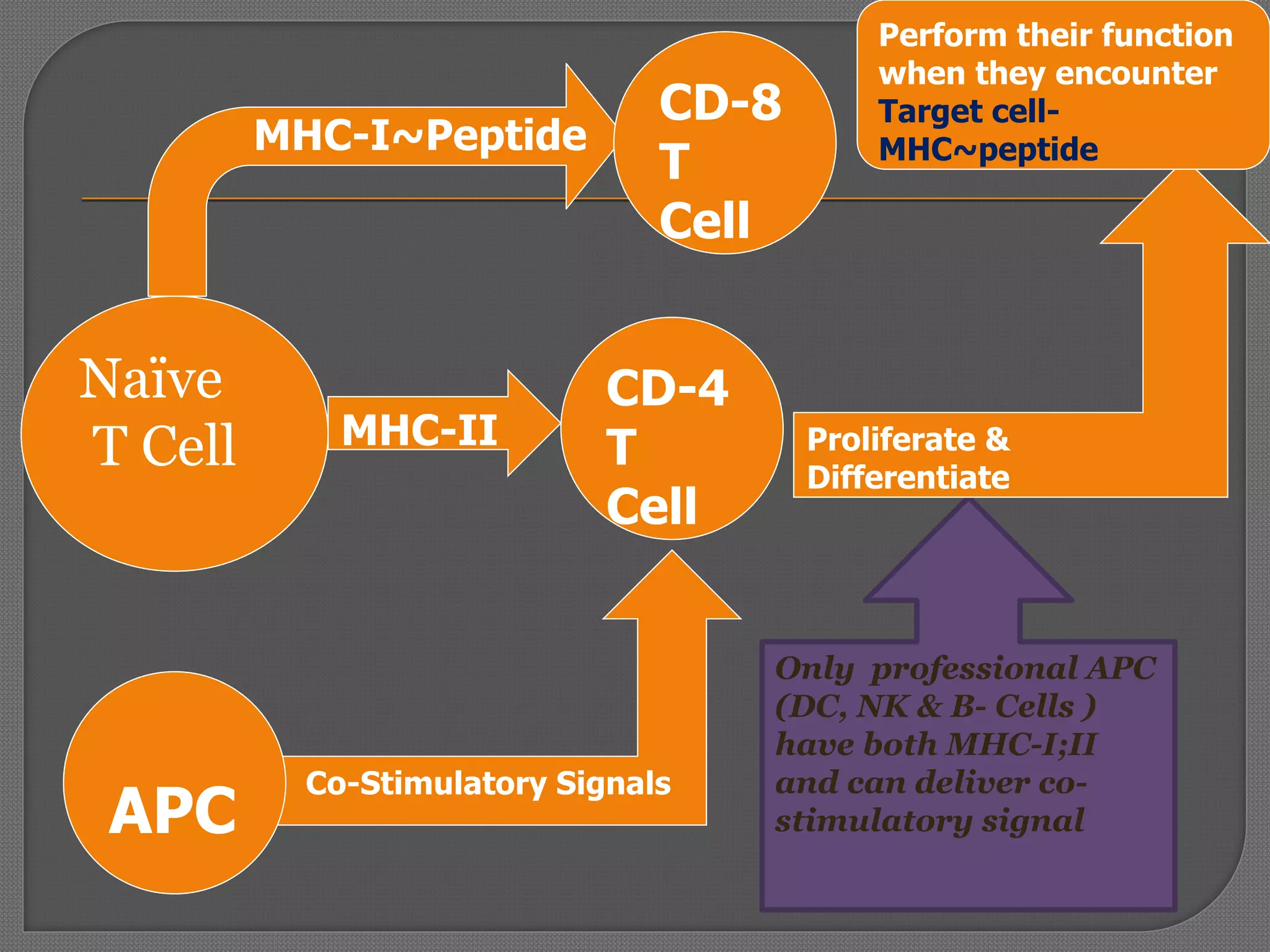 T-Cell Mediated Immunity | PPTX