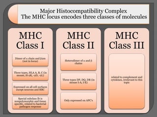 T-Cell Mediated Immunity | PPTX