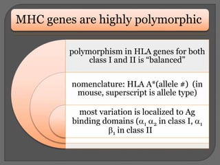 T-Cell Mediated Immunity | PPTX
