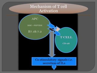 T-Cell Mediated Immunity | PPTX