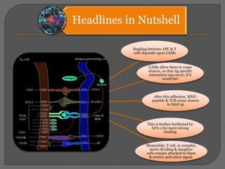 T-Cell Mediated Immunity | PPTX