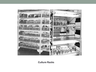 Plant Tissue Culture- Introduction & History | PPTX