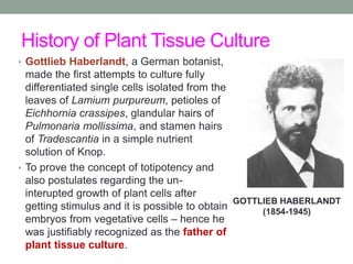 Plant Tissue Culture- Introduction & History | PPTX