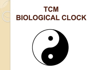 TCM Biological Clock | PPT