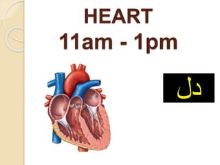 TCM Biological Clock | PPT