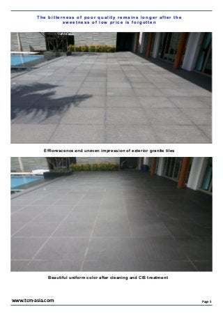 Tcm cis color intensify sealer flyer eng_n | PDF