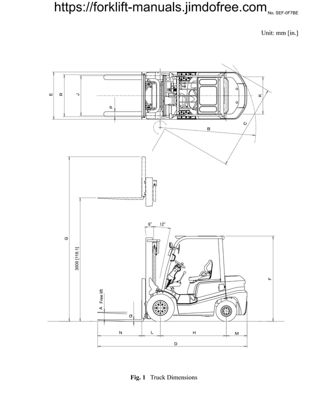TCM F series Service Manual.pdf