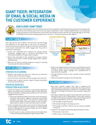 TC Media Giant Tiger Case Study | PDF