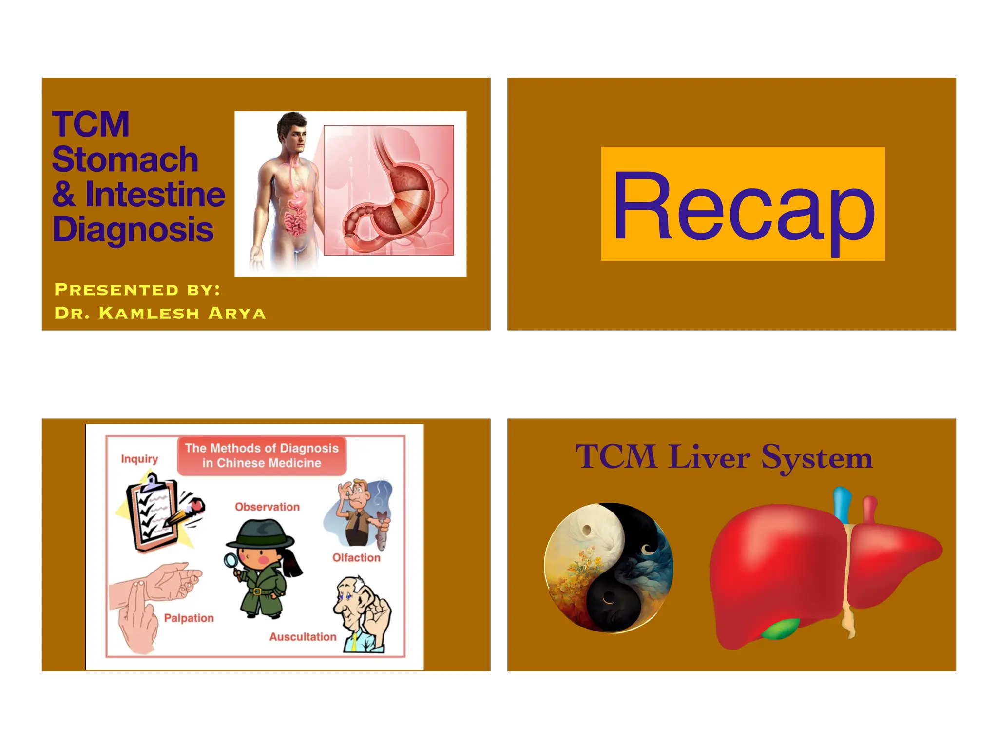 TCM Stomach-Intestine Diagnosis and traditional acupuncture | PPT