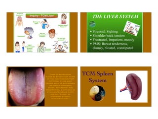 TCM Stomach-Intestine Diagnosis and traditional acupuncture | PPT