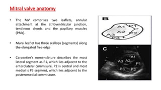 Transcatheter therapy for Mitral Regurgitation (MR) | PPTX