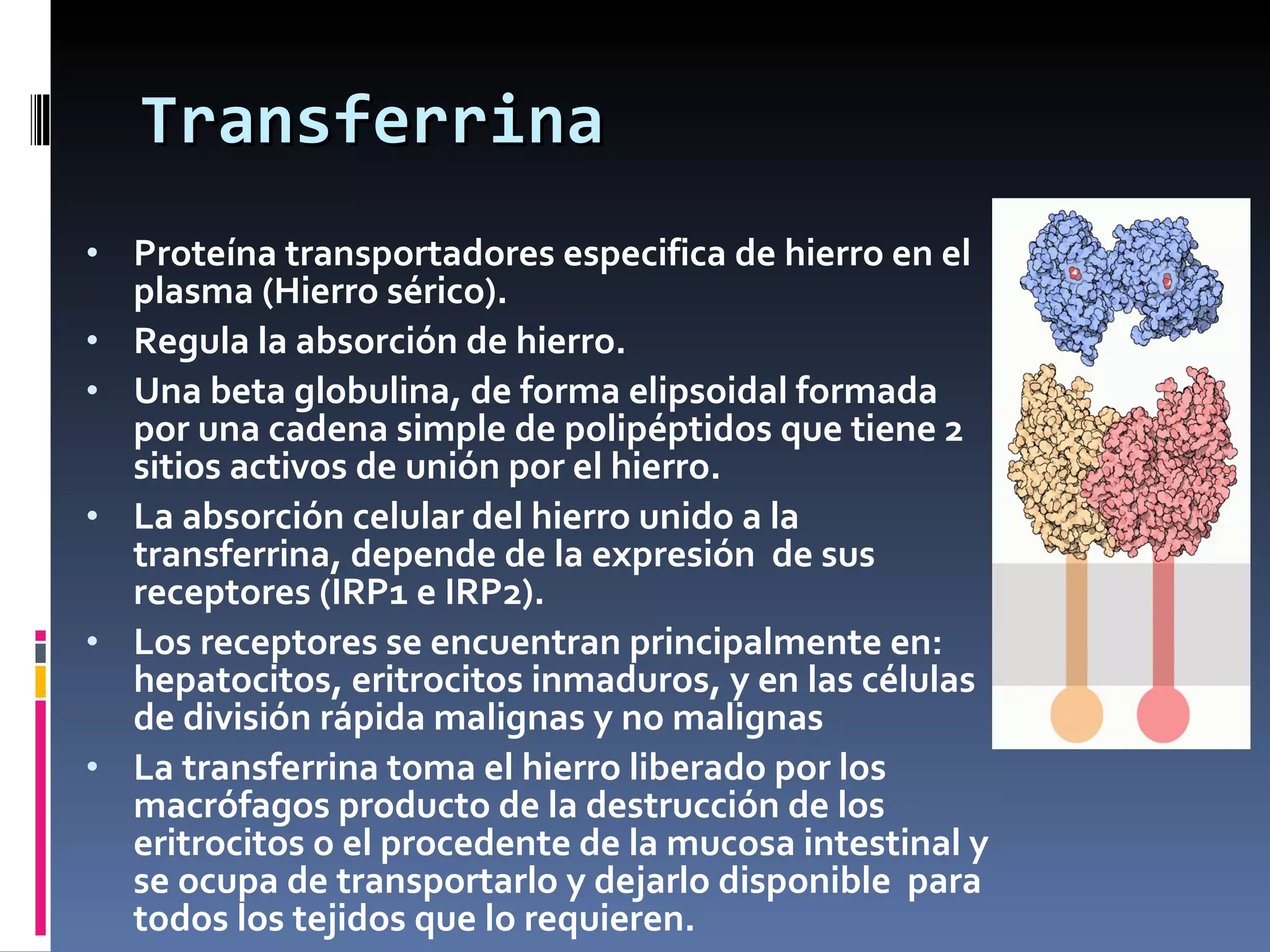 Técnica de ferremia y transferrina | PPT