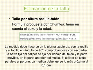 Técnicas antropométricas | PPTX