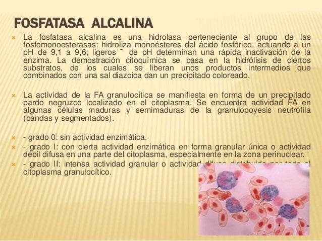Técnicas citoquímicas de identificación leucocitaria