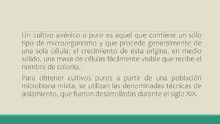 Técnicas de cultivo y tinciones microbianas.pptx