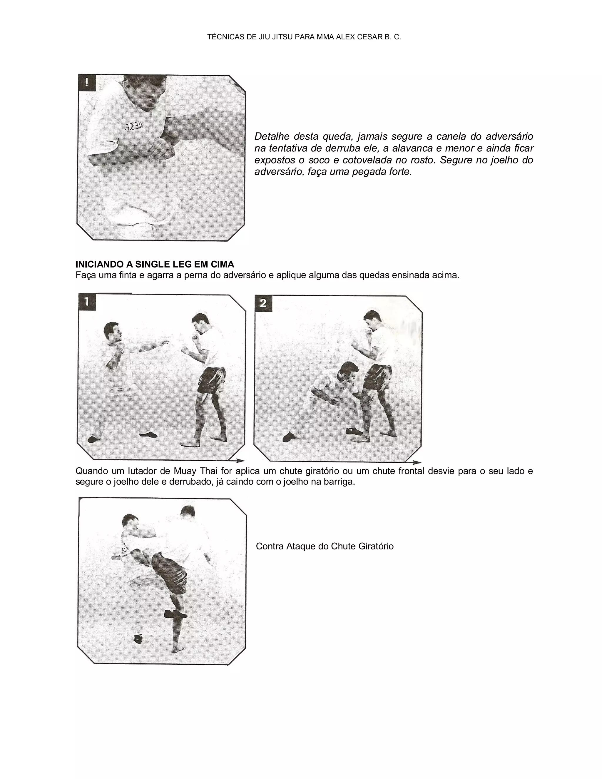 Técnicas de jiu jitsu para mma | PDF