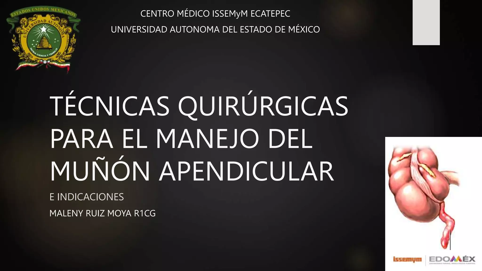TÉCNICAS QUIRÚRGICAS PARA EL MANEJO DEL MUÑÓN APENDICULAR.ppsx