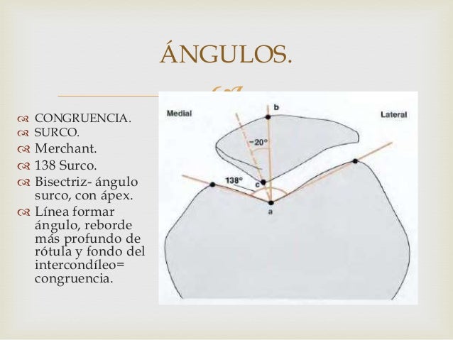 Técnicas y proyecciones muslo y rodilla